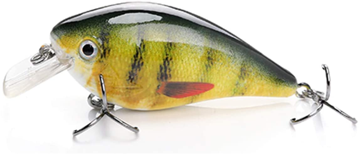 Baby Perch Life-Like Square Bill Crankbait – Concerning Life Publishing ...